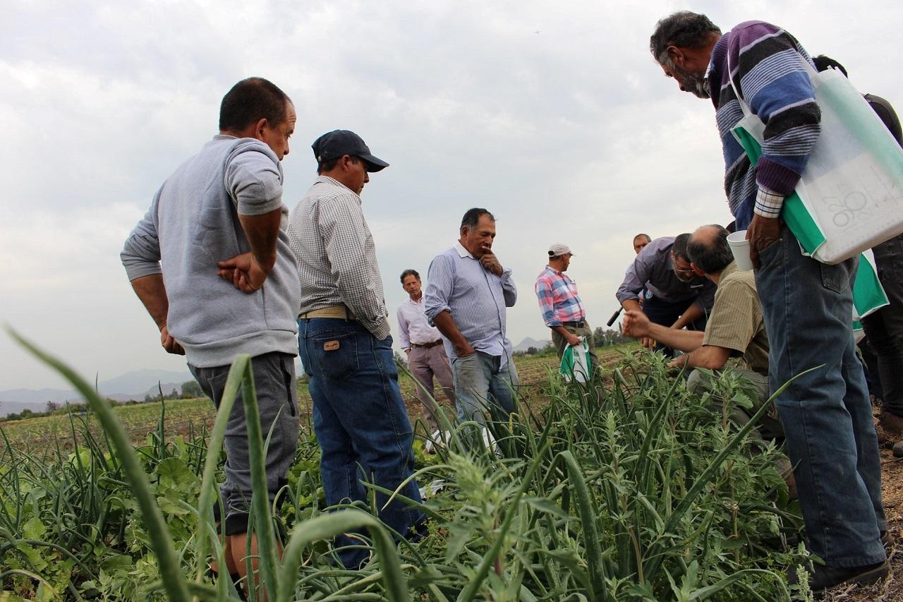 Diplomado Latinoamericano en Extensión Rural - Facultad de Ciencias ...